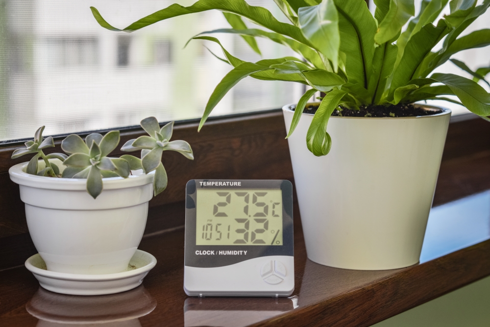 How do you keep indoor humidity in check this summer? Let's count the ...
